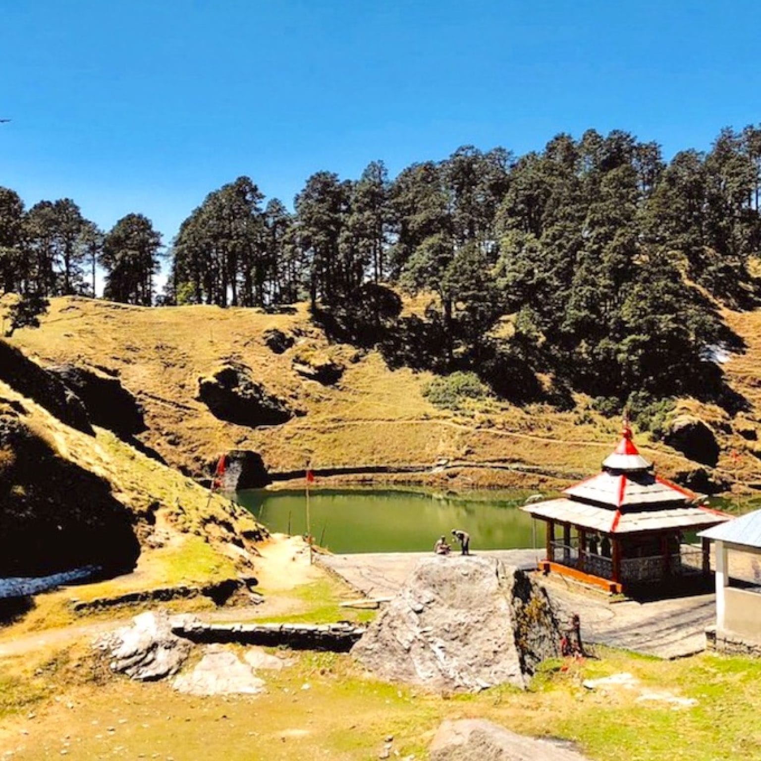 Shoja Himachal pradesh: The Next Manali in 2025?