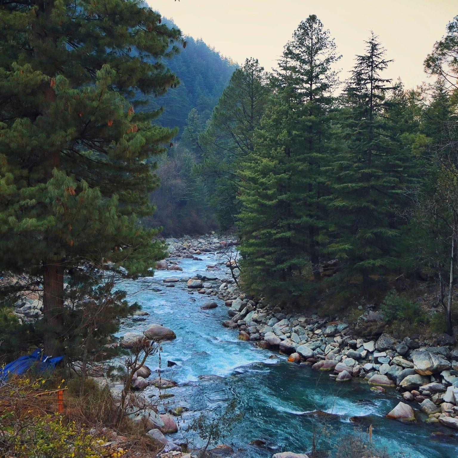 Kasol Travel Guide: Explore the Mini Israel of India